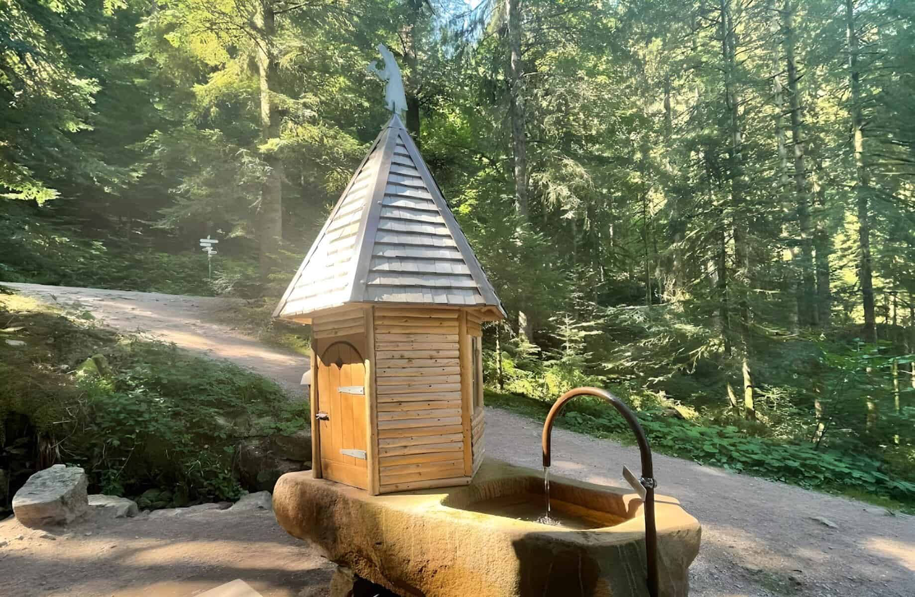 Burgbachwasserfall Bad Rippoldsau – 32 Meter Naturwunder im Schwarzwald ...